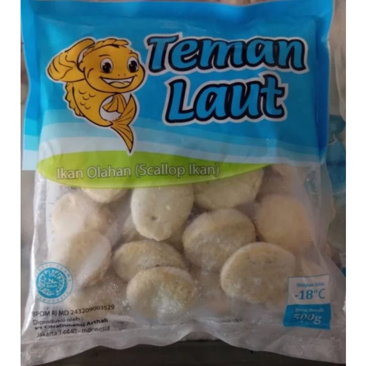 Jual Teman Laut Scallop Ikan 500g | Shopee Indonesia