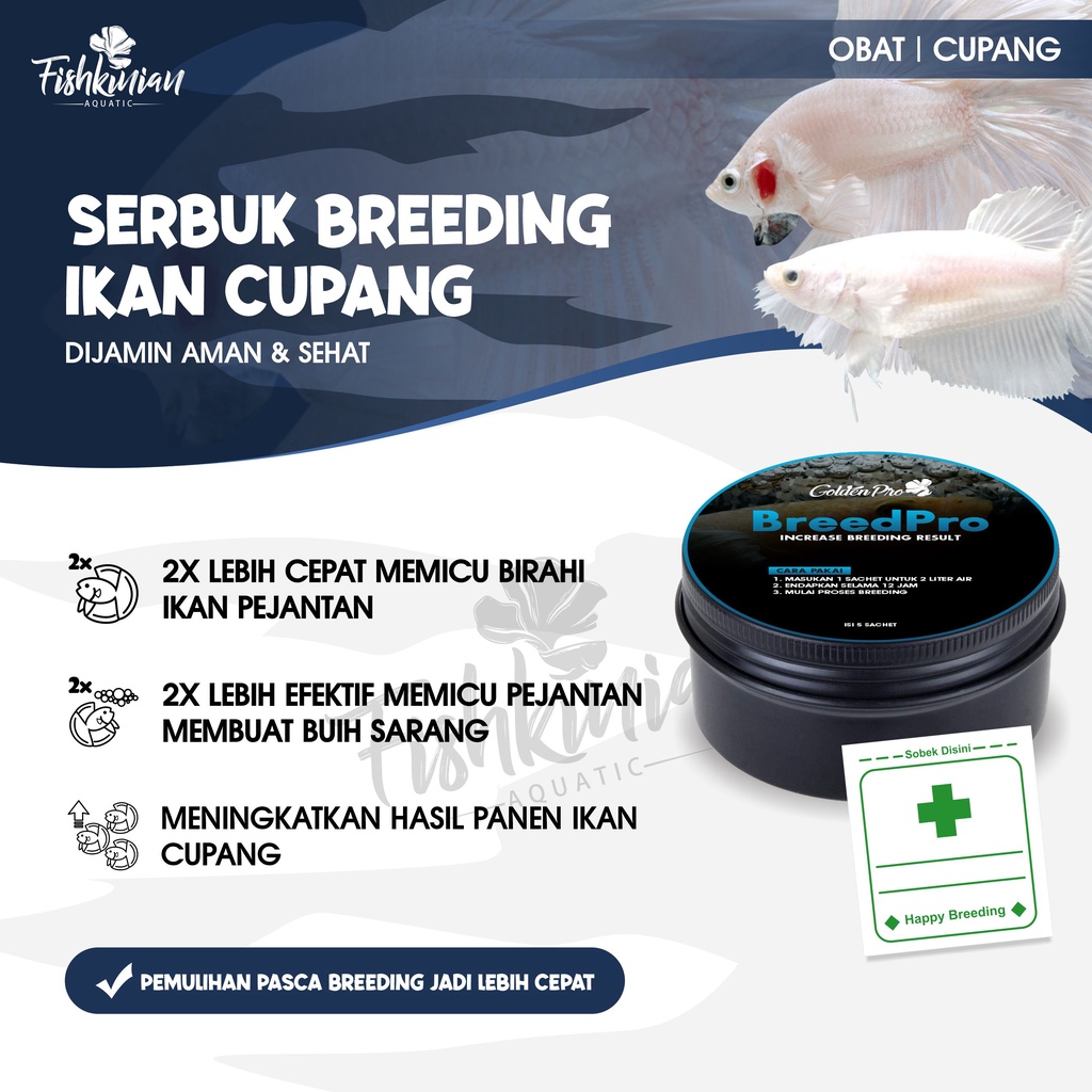 Jual BREEDING CUPANG / KAWIN / TERNAK IKAN CUPANG - Breed Pro ...