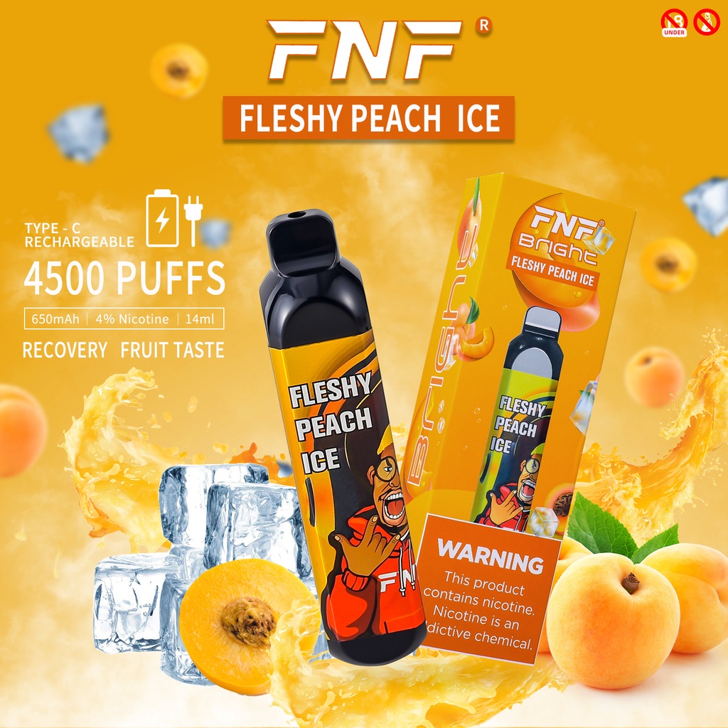 Jual FNF Type-C Disposable Pods 4500 Puffs Berbagai rasa Plus Vape ...