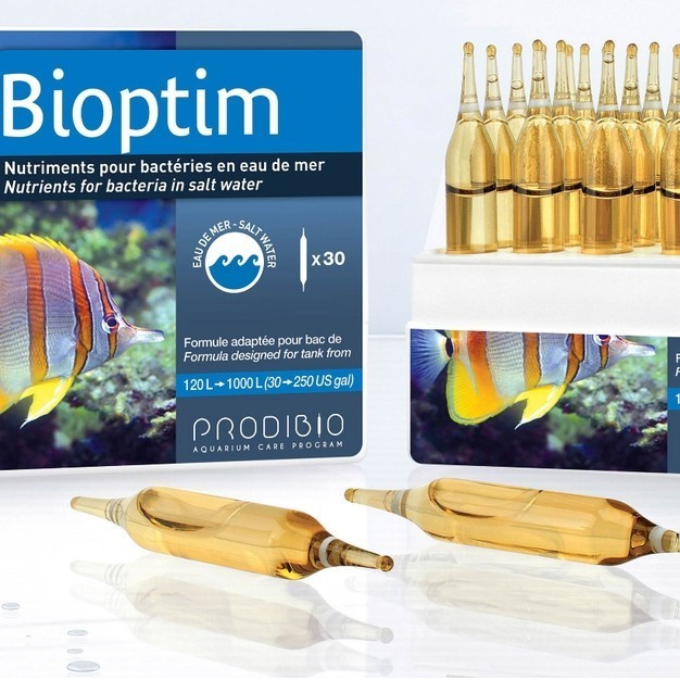 Jual Prodibio Bioptim 1 box Makanan Biodigest Bakteri Starter - Marine ...