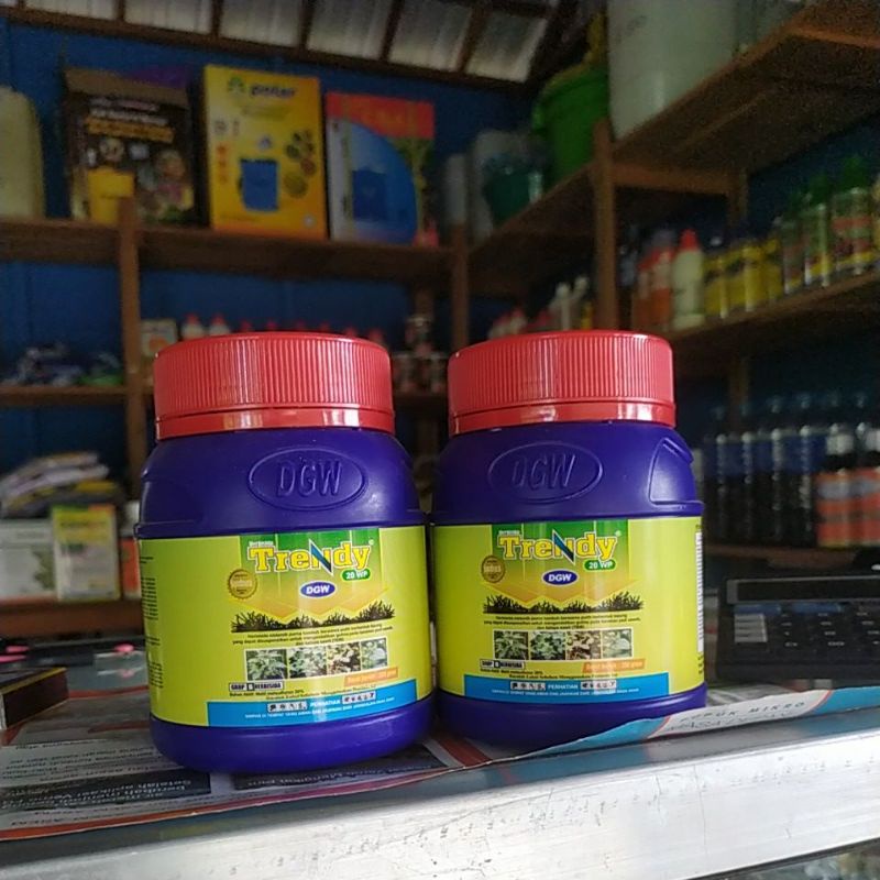 Jual TRENDY 20 WP | herbisida sistemik kemasan 250 gram | Shopee Indonesia
