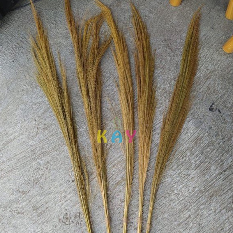 Jual Rayung Ekor Kuda | Shopee Indonesia