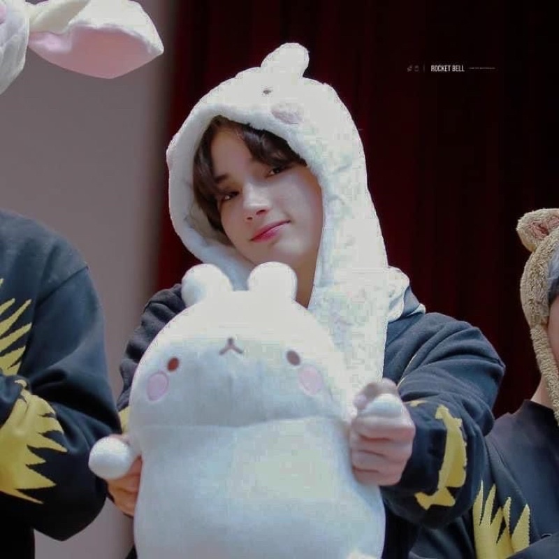 Jual Boneka Molang - Boneka TXT | Shopee Indonesia