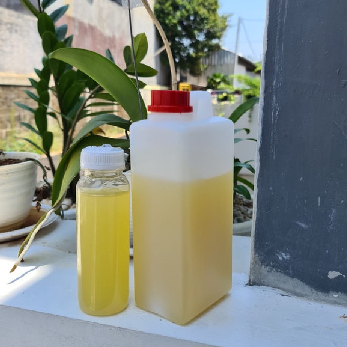 Jual Madu Curah Madu putih 1kg | Shopee Indonesia
