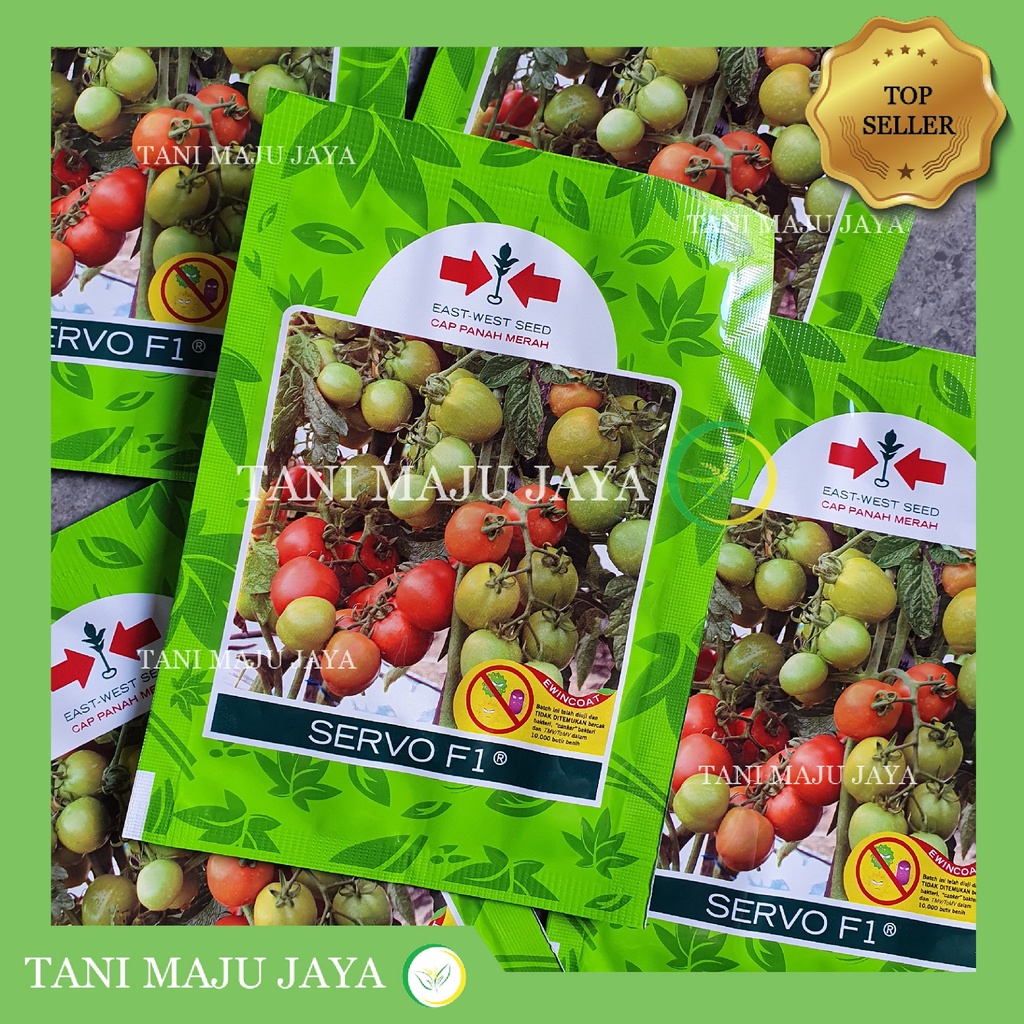 Jual Benih Tomat Servo F1 1750 butir | Shopee Indonesia