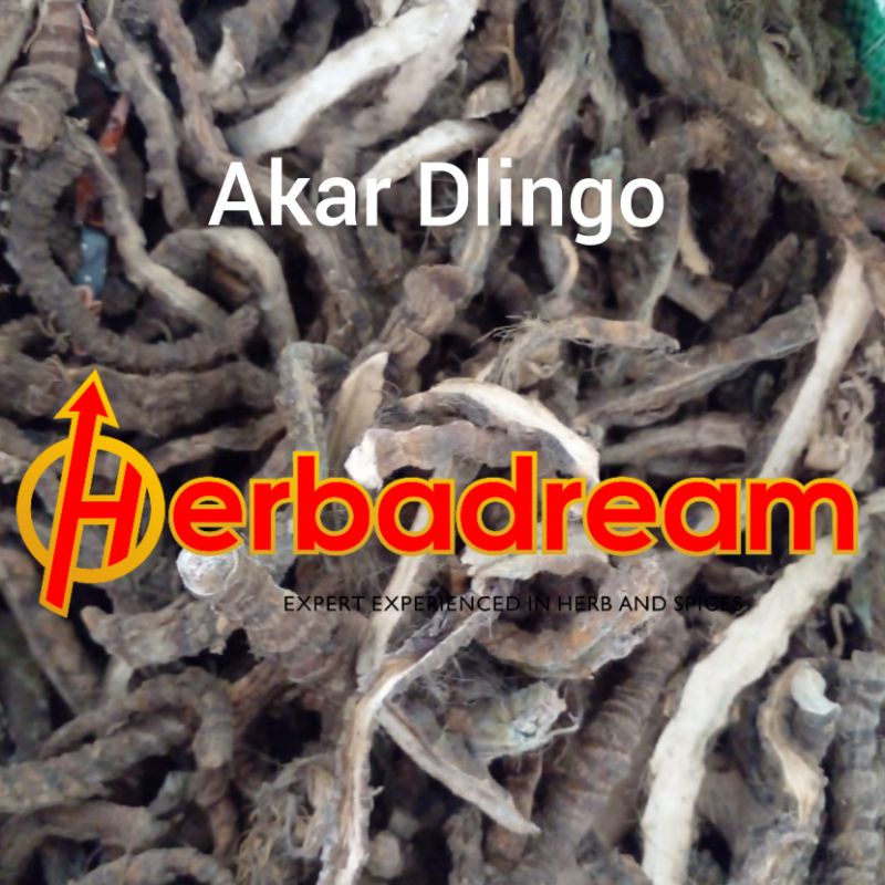 Jual 15 GRAM AKAR DELINGO DLINGO ACORUS CALAMUS DLINGU SWEET FLAG CHANG ...
