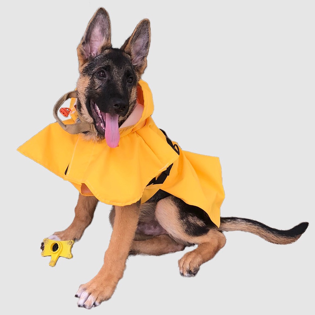 Jual AME - Pet Raincoat - Jas Hujan Hewan Waterproof | Shopee Indonesia