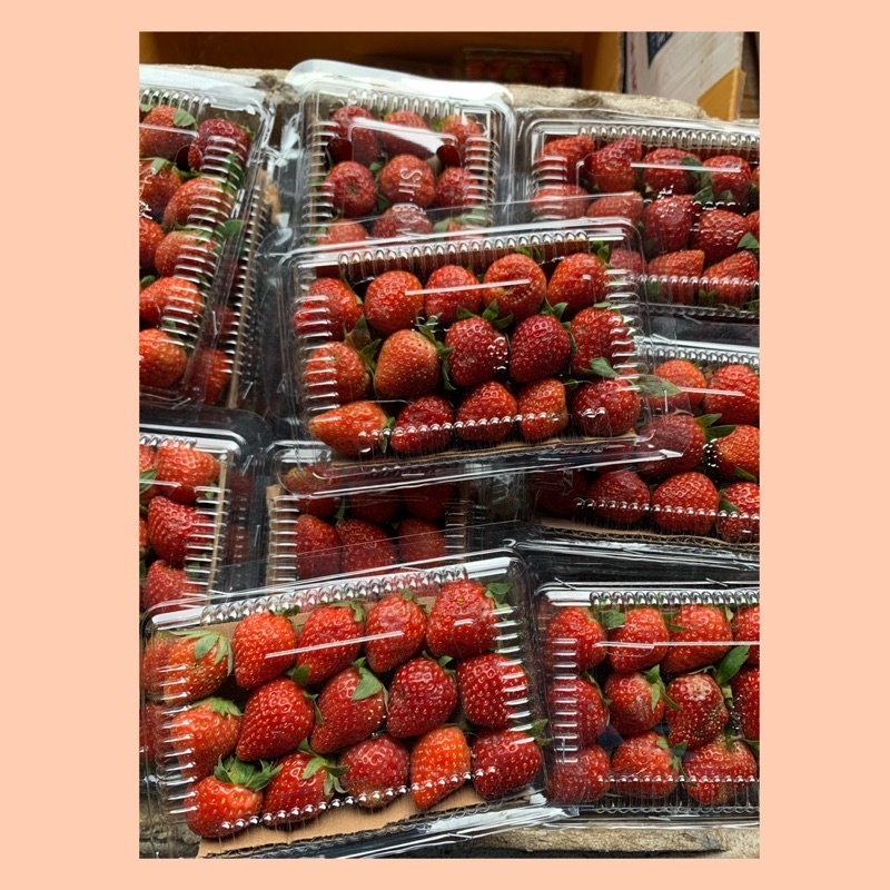 Jual Buah Strawberry / strawberry fresh pack | Shopee Indonesia