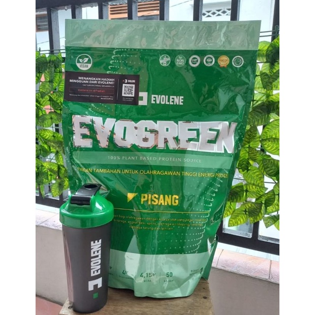 Jual EVOGREEN 50saset plant based protein vegan friendly rasa pisang ...
