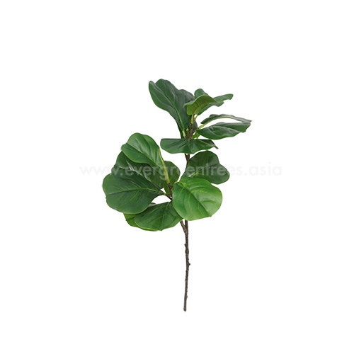 Jual 80CM SINGLE REAL TOUCH FIDDLE LEAF X2 DAUN HIAS/ DAUN PALSU/ DAUN ...