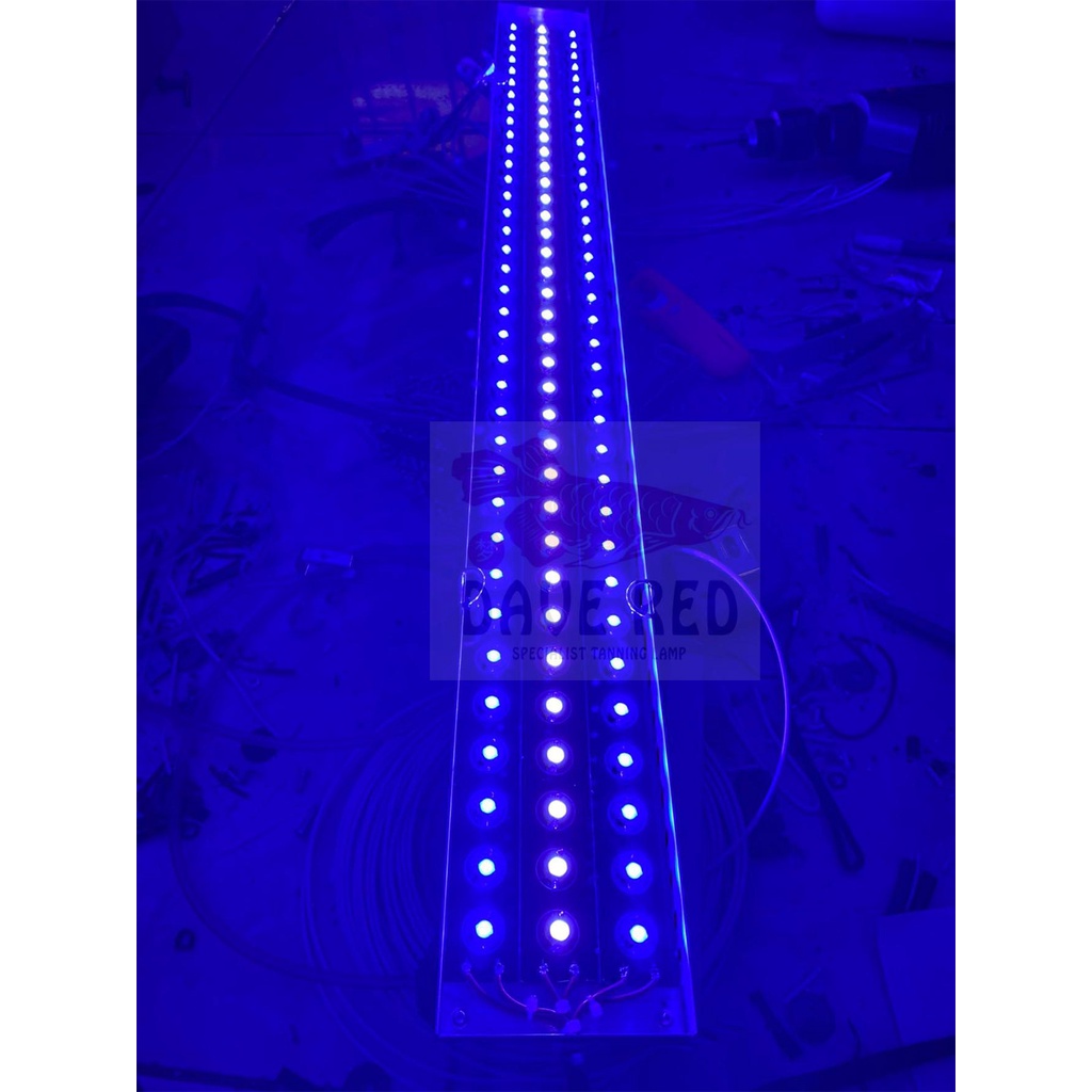 Jual LED HPL 3 Watt Putih Blue Lampu Hard Taning Arwana Super Red ...