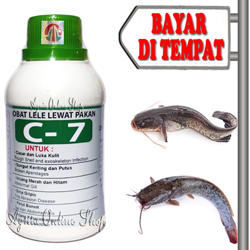 Jual Obat Jamur Ikan Lele C-7 Anti Bakteri Kuman Luka Kulit Cacar C 7 ...