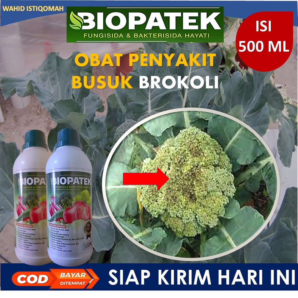 Jual 500 ML BIOPATEK obat semprot busuk buah brokoli TERBAIK - obat ...
