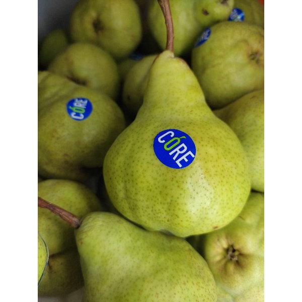 Jual Pear Hijau / Pear packham 1kg | Shopee Indonesia