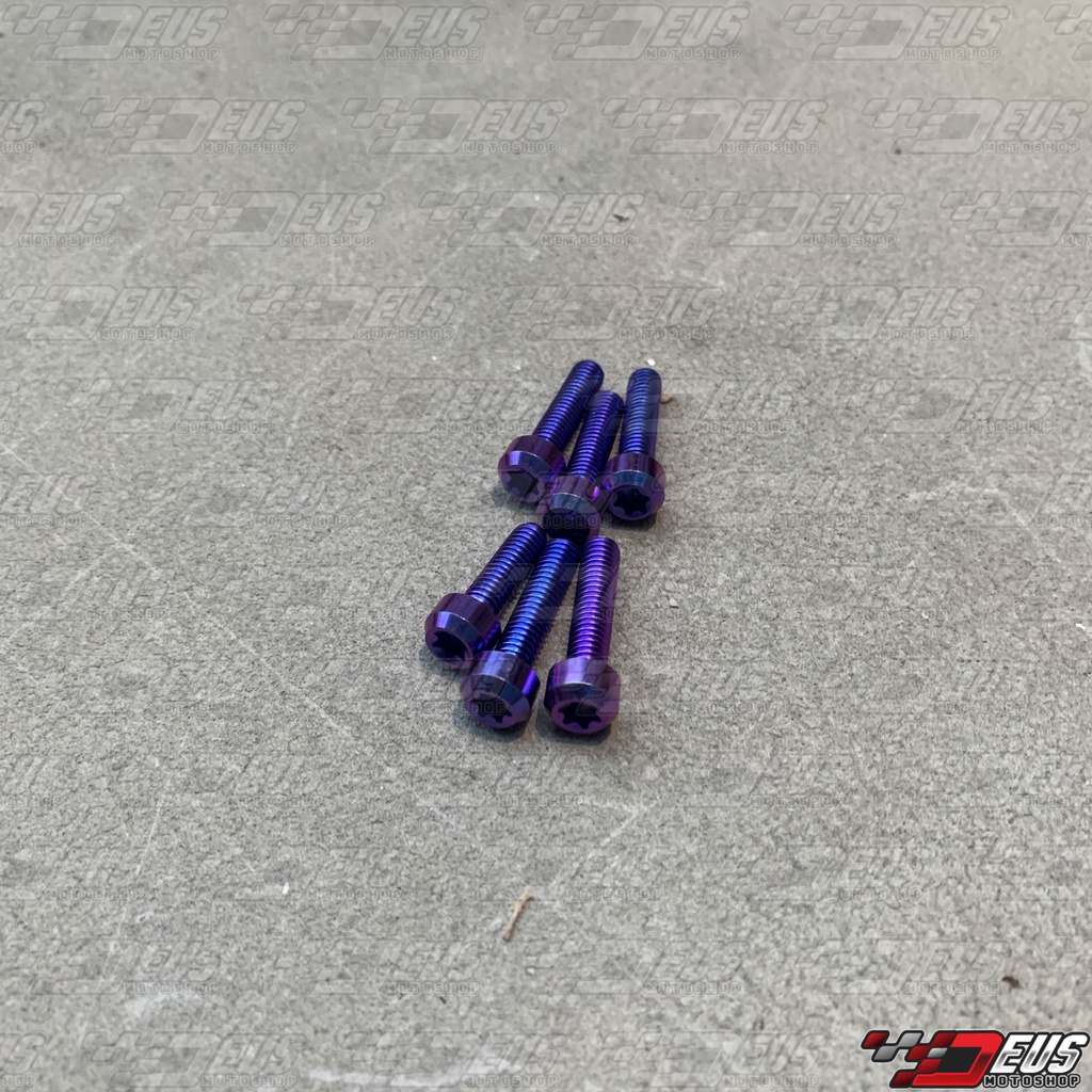 Jual Baut Titanium Membran Ninja R SS RR / Manipul Manifold Intake ...