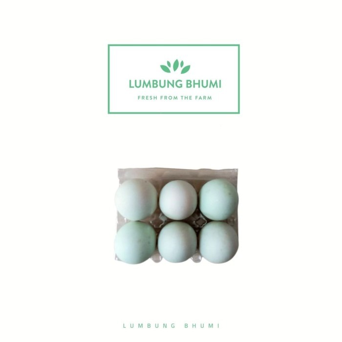 Jual Lumbung Bhumi - Telur Bebek Mentah 6 Butir ( Bahan Pokok ...