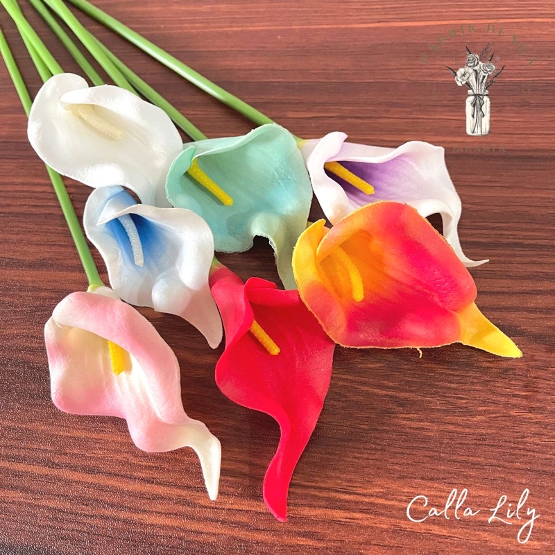 Jual COD (1 Tangkai) Bunga Calla Lily / Artificial Premium Import Calla ...