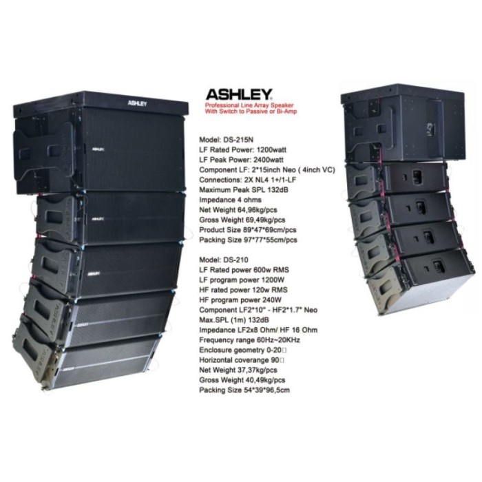 Jual Speaker Line Array Ashley Ds215 N 1Pcs Pasif Original 2x15 Inch ...