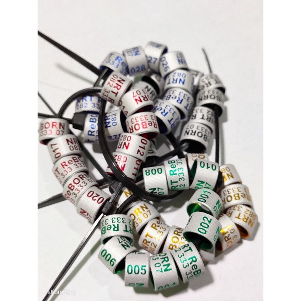 Jual 20 butir ring merpati laser full blok | Shopee Indonesia