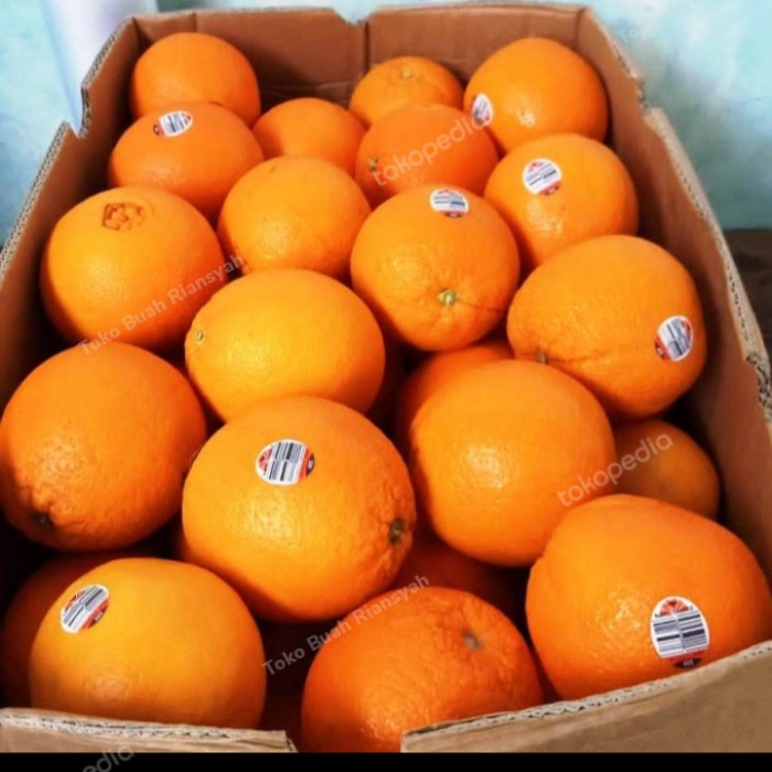 Jual JERUK SUNKIST NAVEL AUSTRALIA ORANGES FRESH IMPORT PER DUS READY ...