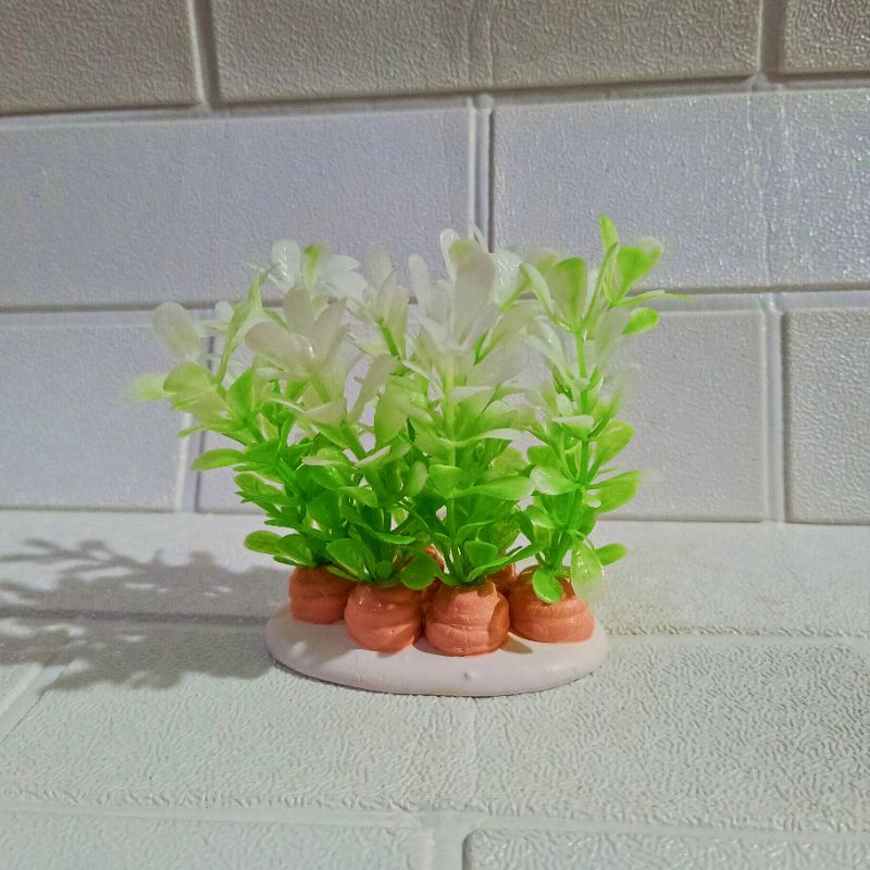 Jual Hiasan tanaman daun rimbun cantik akuarium aquascape | Shopee ...