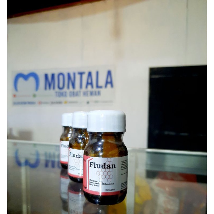 Jual FLUDAN OBAT FLU & BATUK KUCING KAPSUL MONTALA MART | Shopee Indonesia