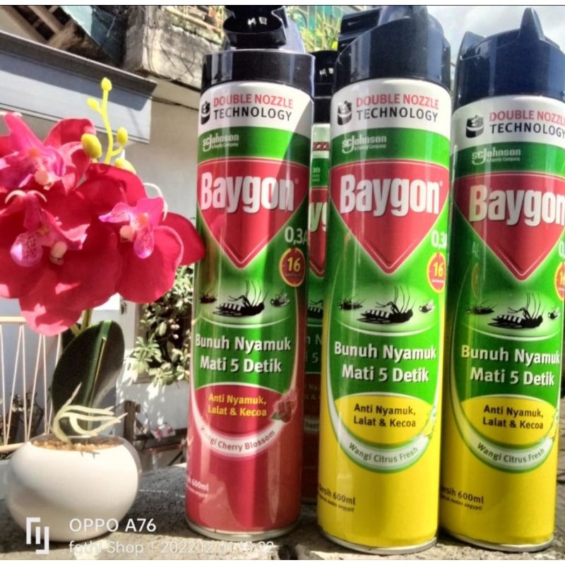 Jual Baygon Aerosol 600ml | Shopee Indonesia