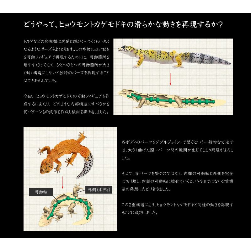 Jual Leopard Gecko Tangerine Ikimono Advance Kadal Dangomushi Kadal ...