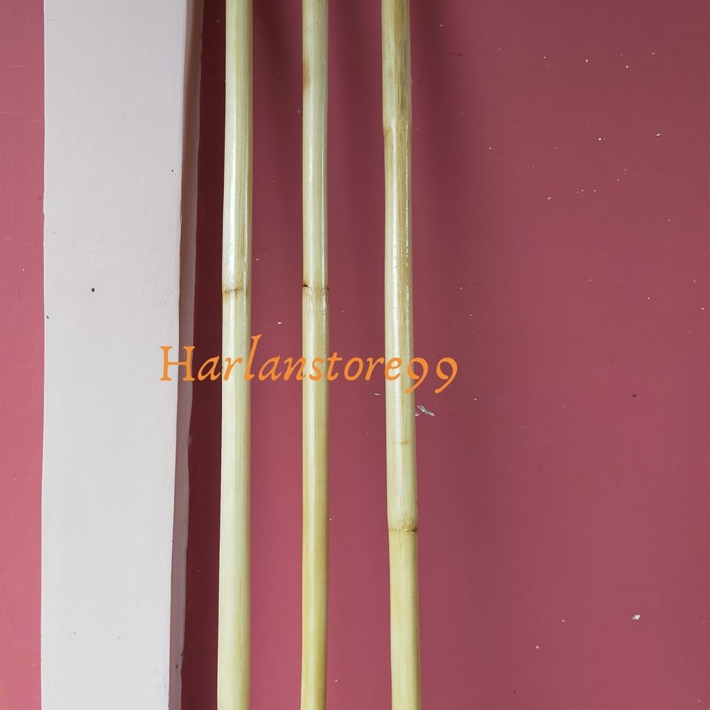 Jual [TOYA ROTAN 160CM] TOYA ROTAN/TOYA PENCAK SILAT/TOYA ROTAN ASLI ...