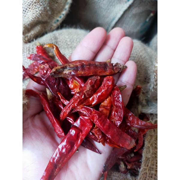 Jual Cabe kering Teja super 1 kg.cabe India | Shopee Indonesia