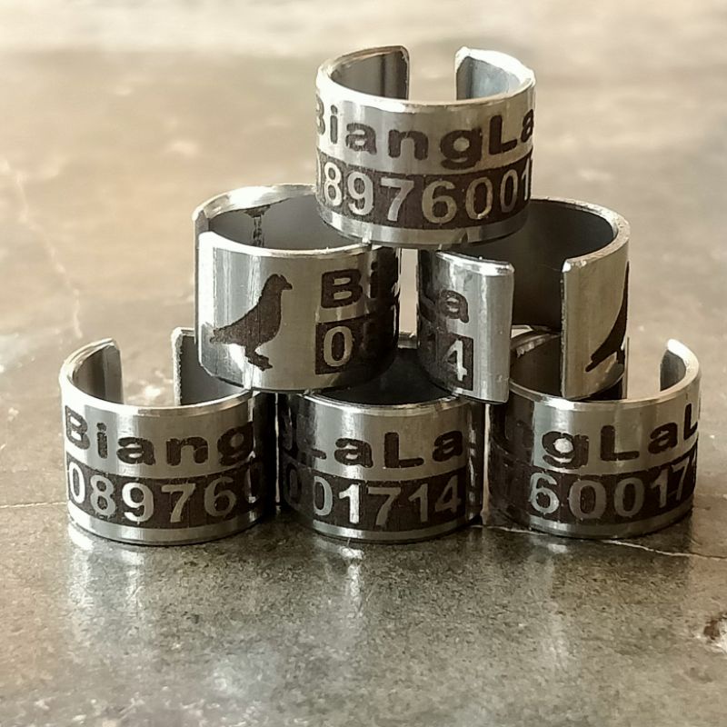 Jual ring merpati dewasa/baja belah variasi std | Shopee Indonesia