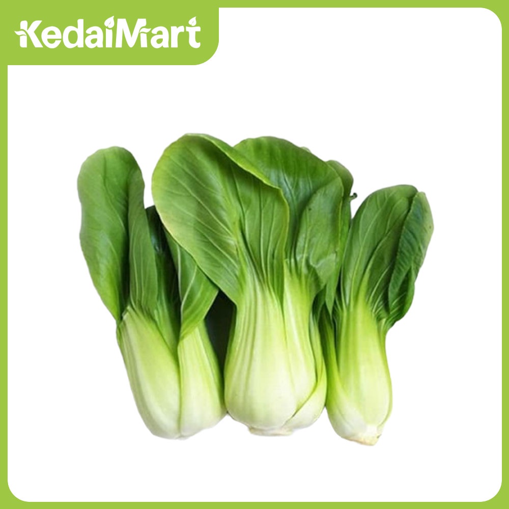 Jual Baby Pokcoy 250 Gram | Shopee Indonesia