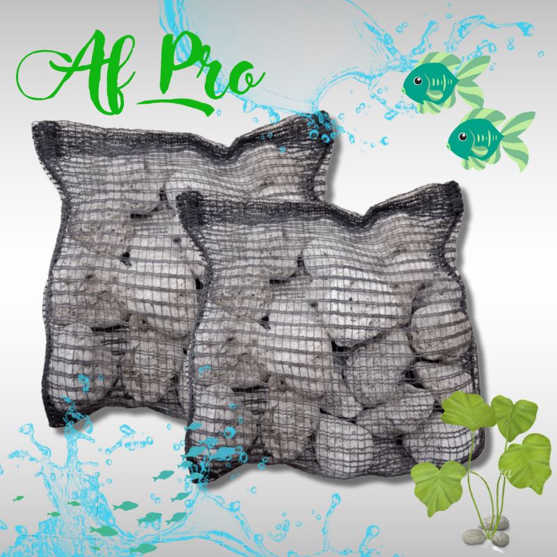 Jual Media Filter Kolam Aquarium Pumice Stone Batu Apung 1kg | Shopee ...