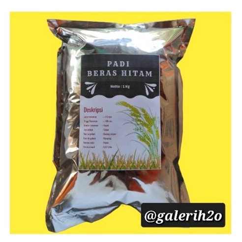Jual Padi beras hitam / kemasan 1 kg | Shopee Indonesia