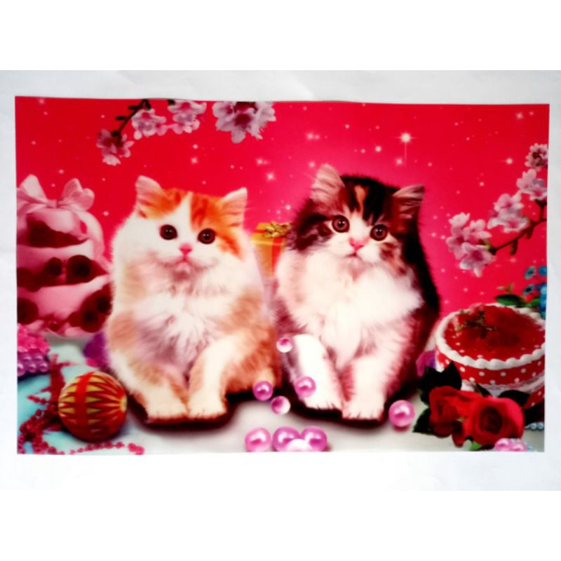 Jual POSTER KUCING 3 DIMENSI (gambar terlihat hidup & nyata) ukuran ...