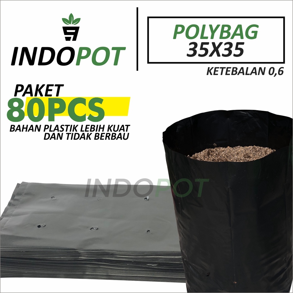 Jual (80pcs) Paket Polybag Ukuran 35x35 Polibag besar Tebal 0,6mm ...