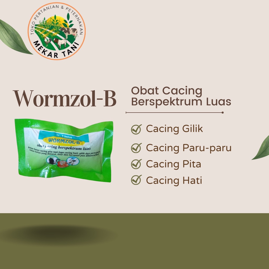 Jual Wromzol-B (besar) | Shopee Indonesia