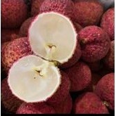 Jual Buah Leci Madu Tanpa Biji/Lychee Import Jepang 1 pack | Shopee ...