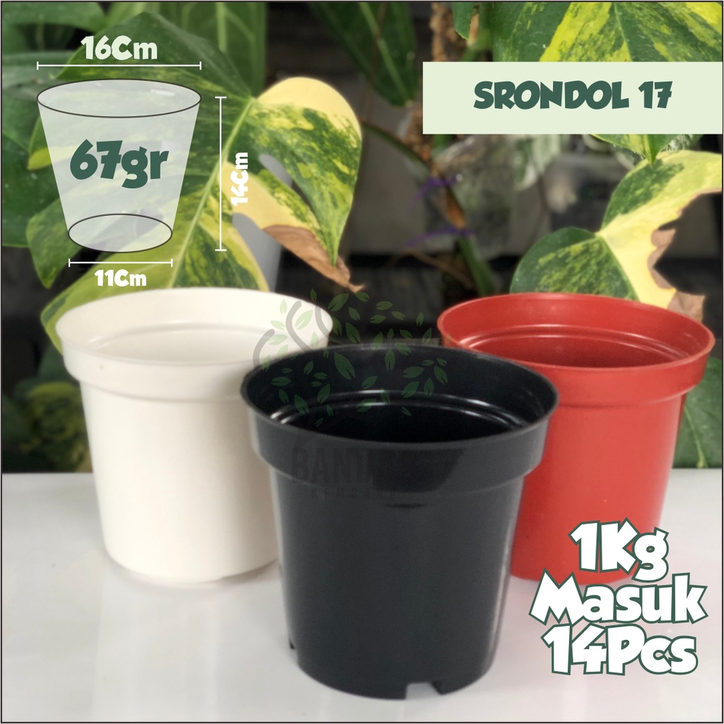 Jual Pot Tinggi Tower Ruplas Srondol 17 Warna Pot Bunga 17 Pot Bibit ...