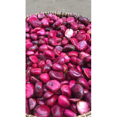 Jual grade B kacang cola biji cola buah cola/ cola nut 1 kg | Shopee ...