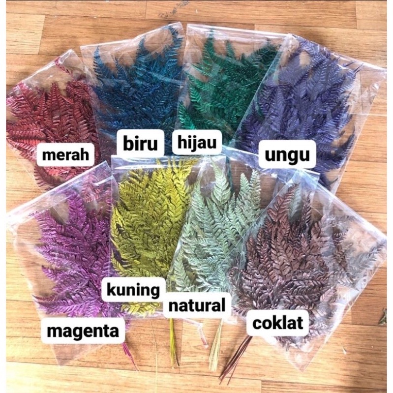 Jual Daun Pakis Kering/ Hiasan Hand Bucket / Pakis Kering / Pakis ...