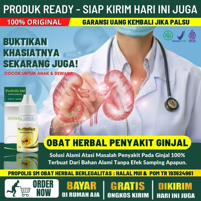 Jual Obat Herbal Sakit Ginjal, Obat Batu Ginjal, Gagal Ginjal, Infeksi Ginjal, Kencing Batu ...