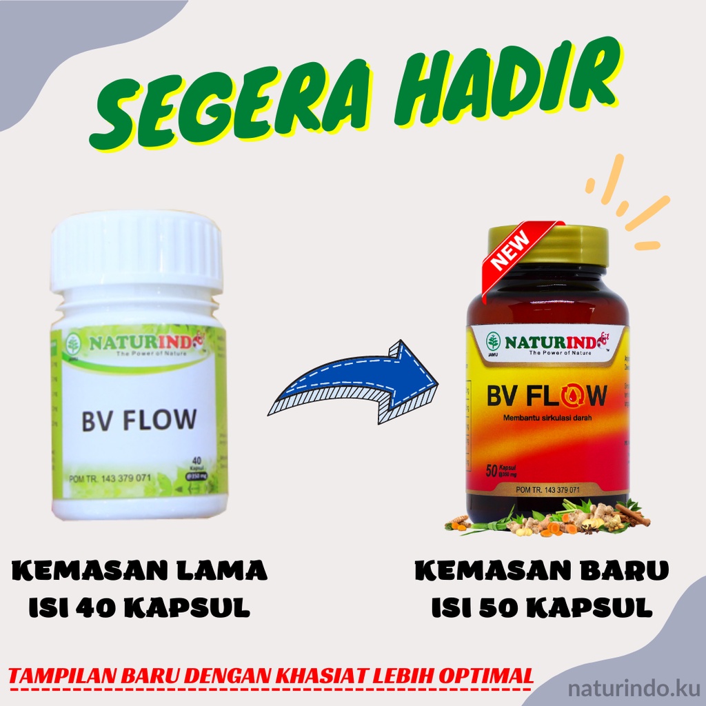 Jual Obat Penyumbatan Pembuluh Darah Pelancar Peredaran Aliran Darah ...