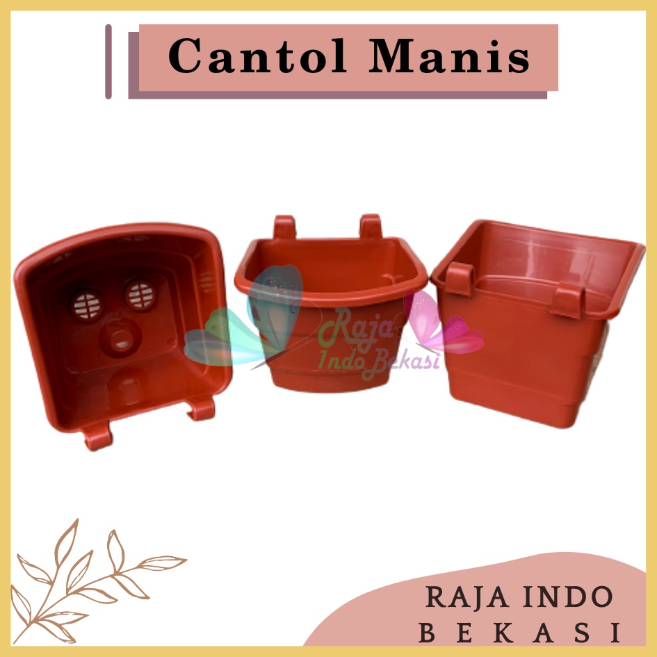 Jual Rajaindobekasi Pot DINDING CANTOL TEMPEL TIP Coklat Merah Bata ...