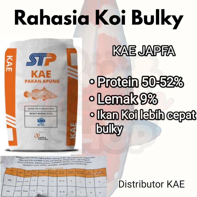 Jual PAKAN IKAN KAE STP Japfa protein 50%-52% repacking 1kg TERAPUNG FLOATING | Shopee Indonesia