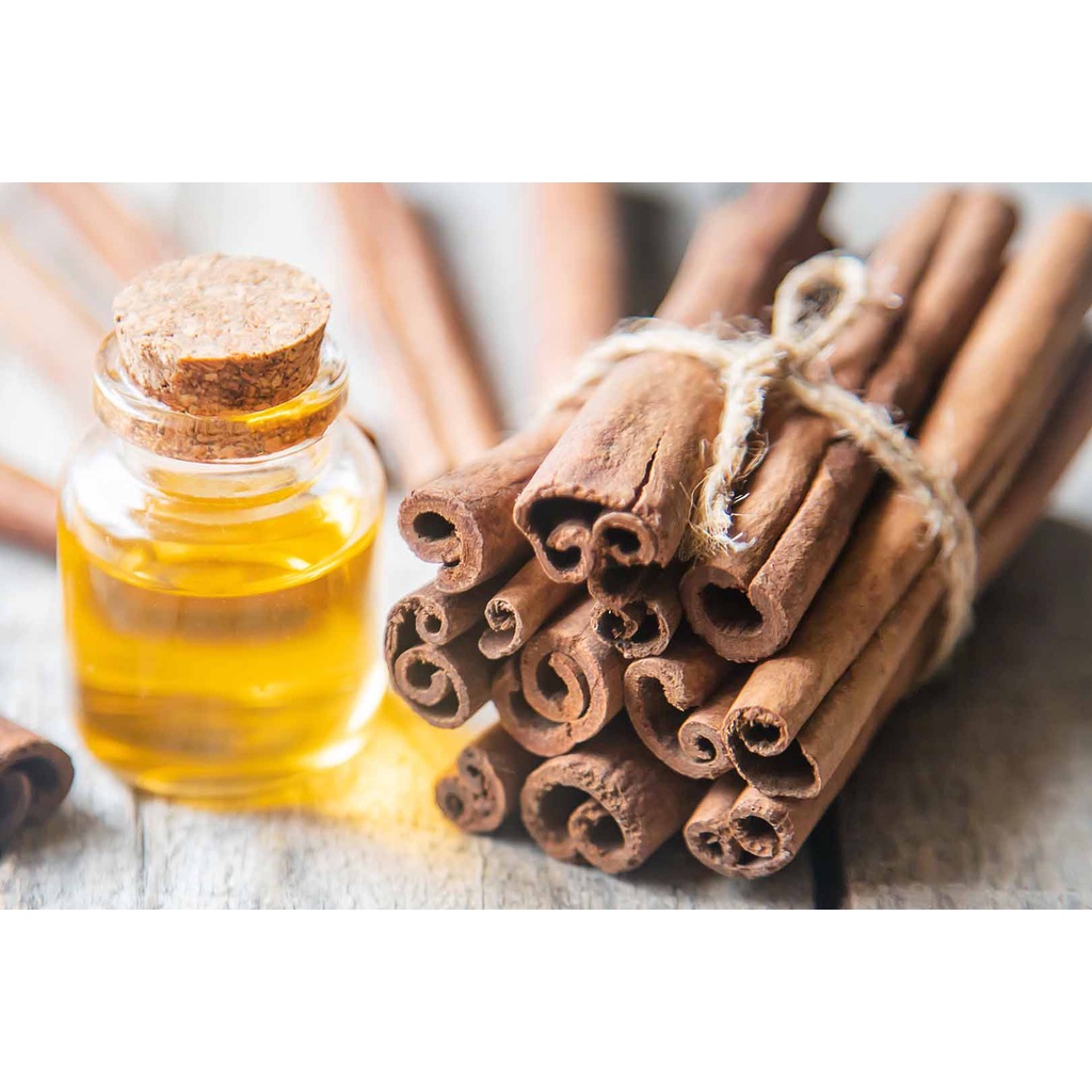 Jual Minyak Essensial Minyak Kayu Manis 100% Murni Ukuran 10ml - 50ml | Shopee Indonesia