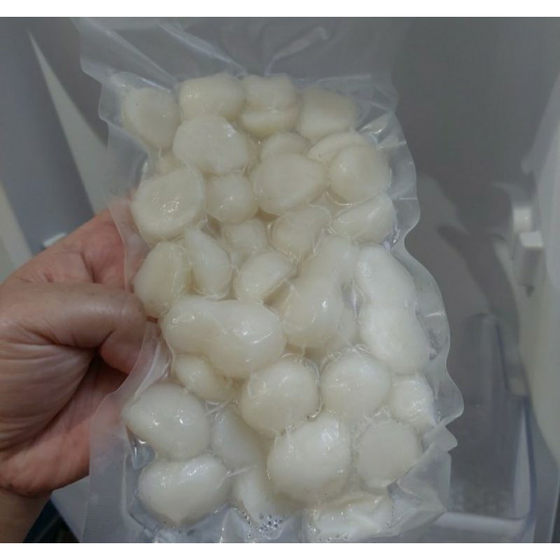 Jual SCALLOP LOKAL KERANG SIMPING | Shopee Indonesia