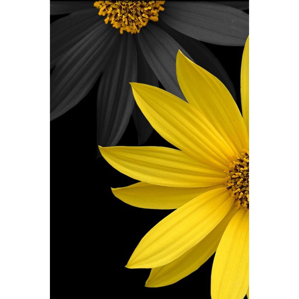 Jual 215/20x30cm/Hiasandinding/pajangan/walldekor/dekorasi/minimalis ...