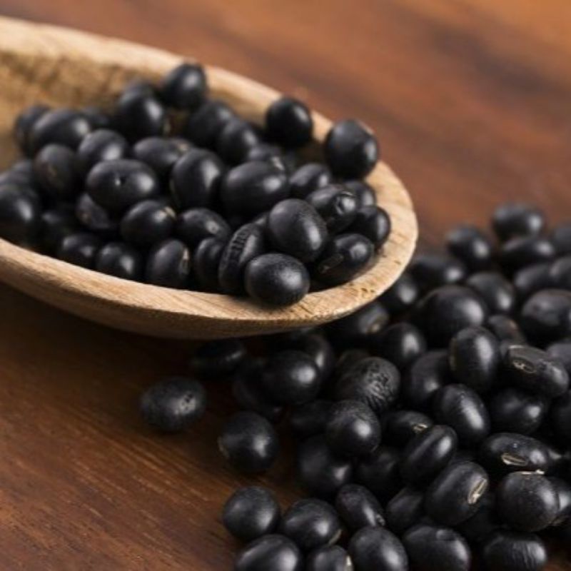 Jual 10 Benih Biji Bibit Kacang Kedelai Hitam | Shopee Indonesia