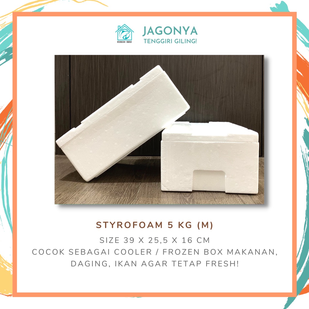 Jual Styrofoam Box 5 Kg (M) / Cooler Box / Frozen Box | Shopee Indonesia